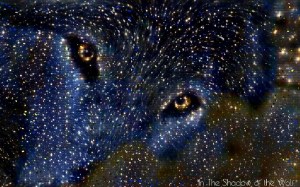 Wolf Shadow Creative Works and Art Shop – intheshadowofthewolf
