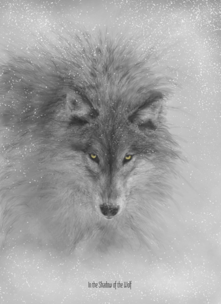 Wolf Shadow Creative Works and Art Shop – intheshadowofthewolf