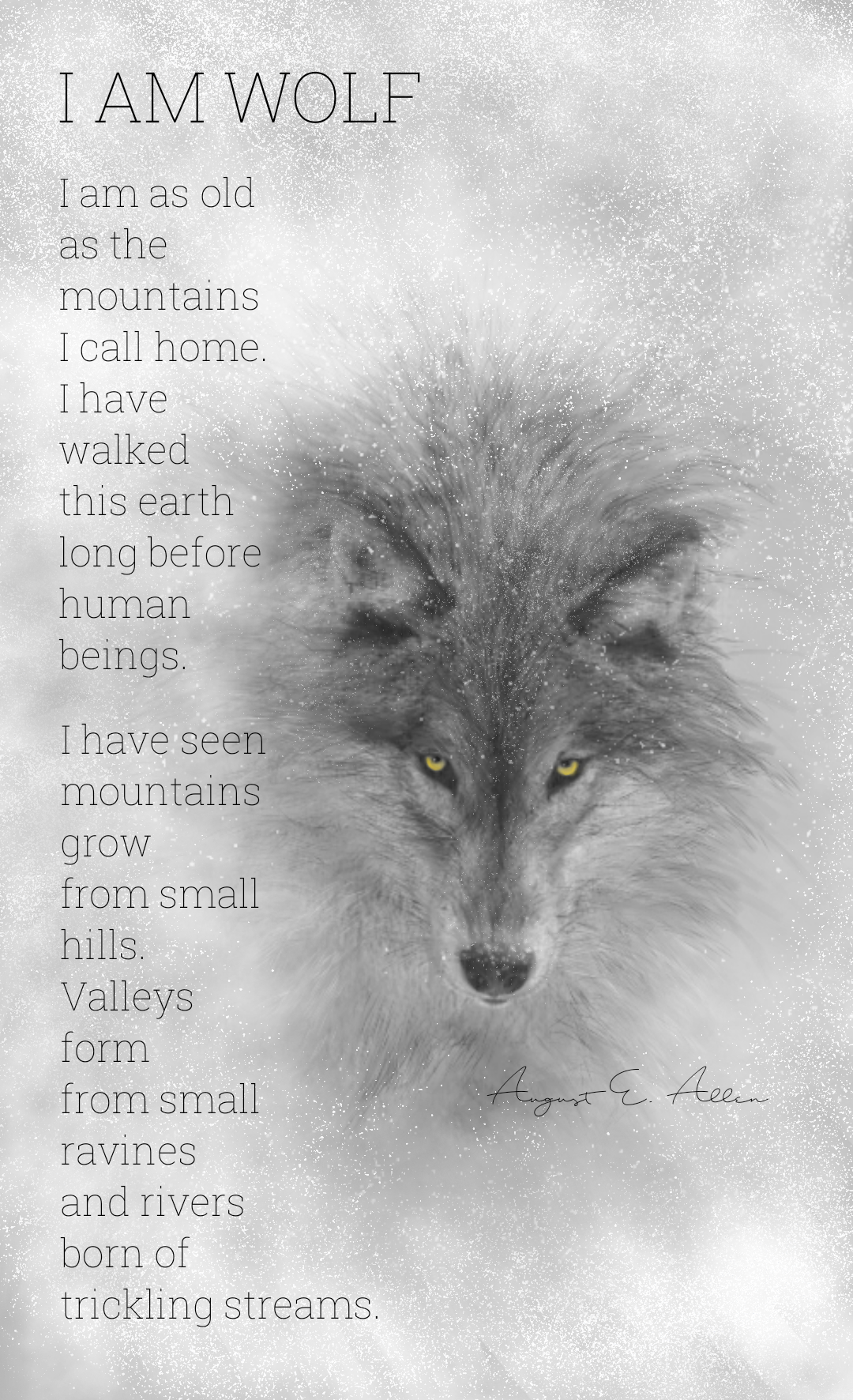 I AM WOLF – intheshadowofthewolf